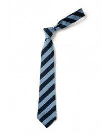 Navy/Saxe 16" Clip-on Tie - for Holystone Primary School Tie
